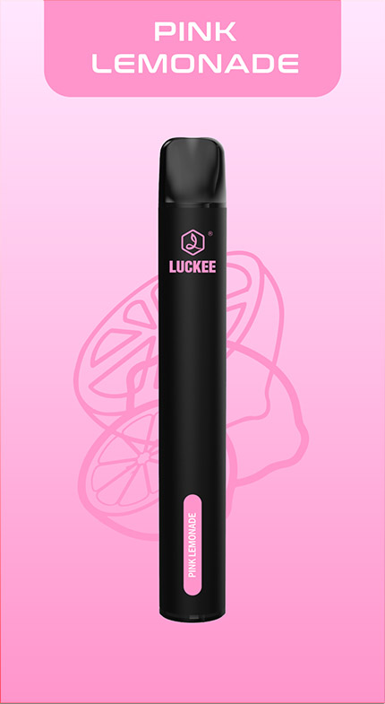 600 PUFFS Disposable Vape – 12 Flavors, Smooth & Long-lasting - leiting