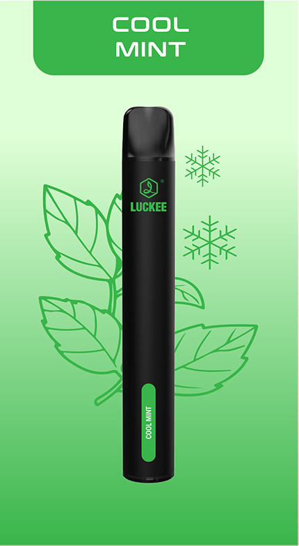 600 PUFFS Disposable Vape – 12 Flavors, Smooth & Long-lasting - leiting