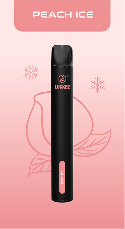 600 PUFFS Disposable Vape – 12 Flavors, Smooth & Long-lasting - leiting