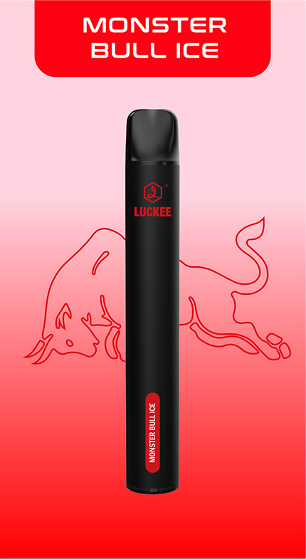 600 PUFFS Disposable Vape – 12 Flavors, Smooth & Long-lasting - leiting