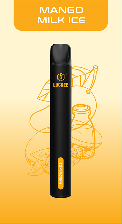 600 PUFFS Disposable Vape – 12 Flavors, Smooth & Long-lasting - leiting