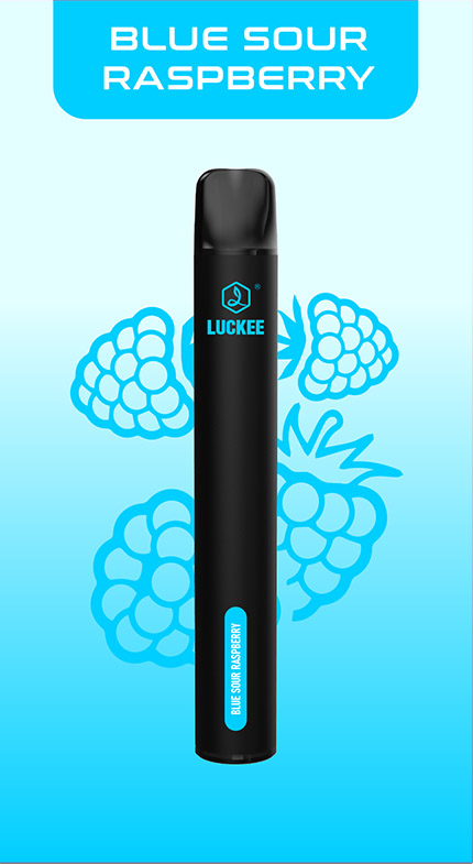 600 PUFFS Disposable Vape – 12 Flavors, Smooth & Long-lasting - leiting