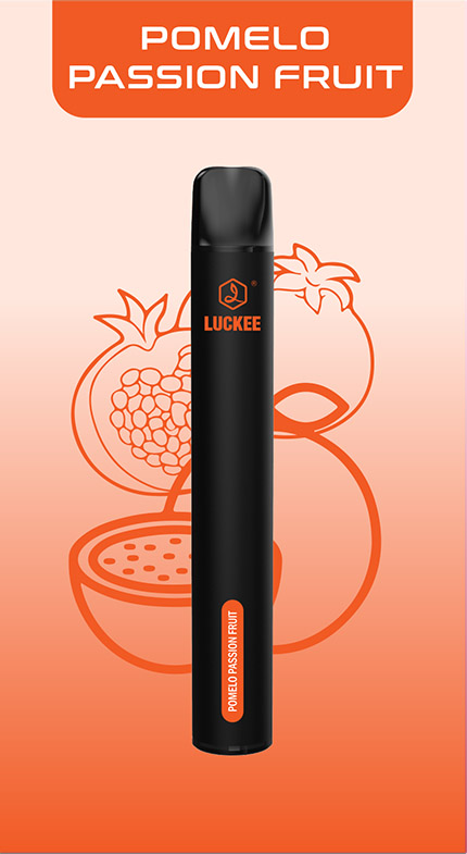 600 PUFFS Disposable Vape – 12 Flavors, Smooth & Long-lasting - leiting