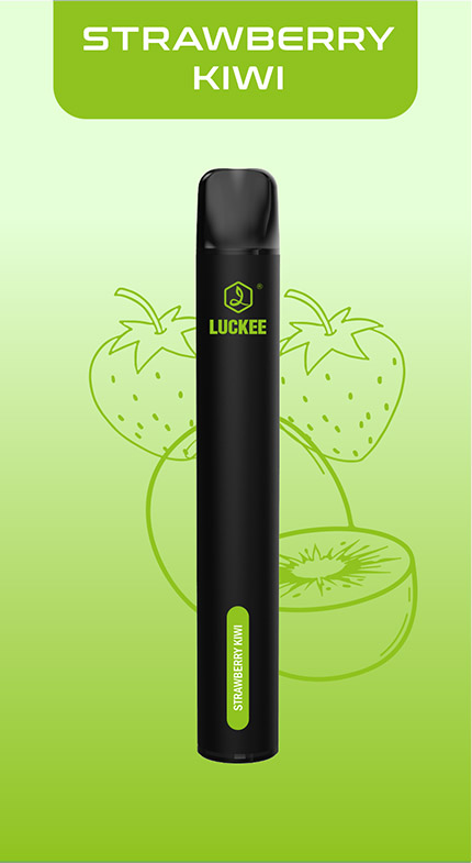 600 PUFFS Disposable Vape – 12 Flavors, Smooth & Long-lasting - leiting