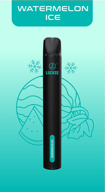 600 PUFFS Disposable Vape – 12 Flavors, Smooth & Long-lasting - leiting